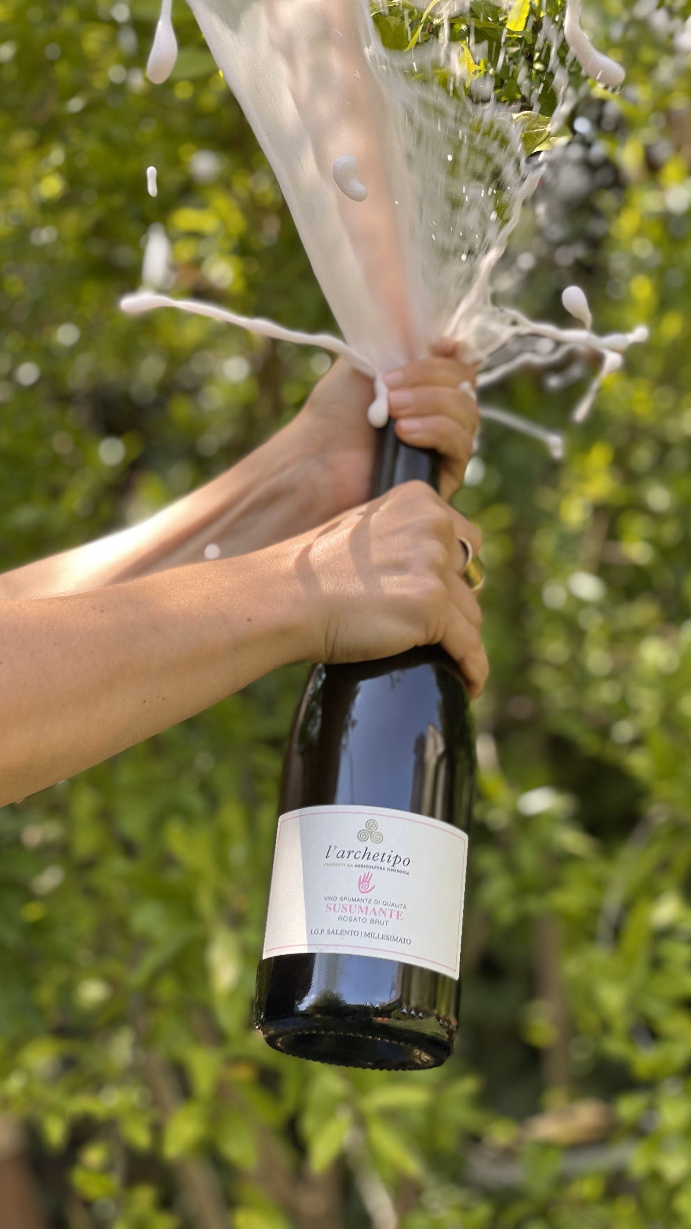 15 Fascinating Facts About Sparkling Wine — Guildford Green